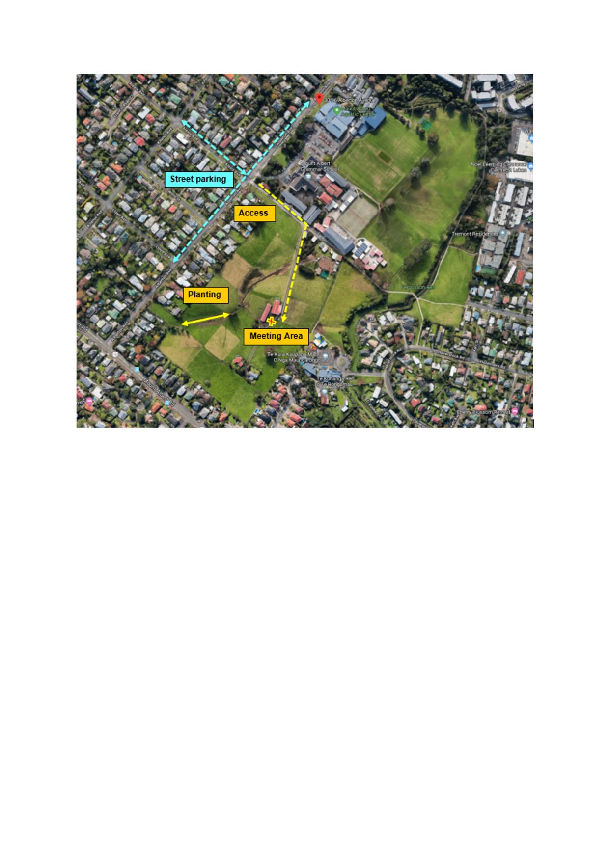St Lukes Environmental Protection Society » Blog Archive » Planting day ...